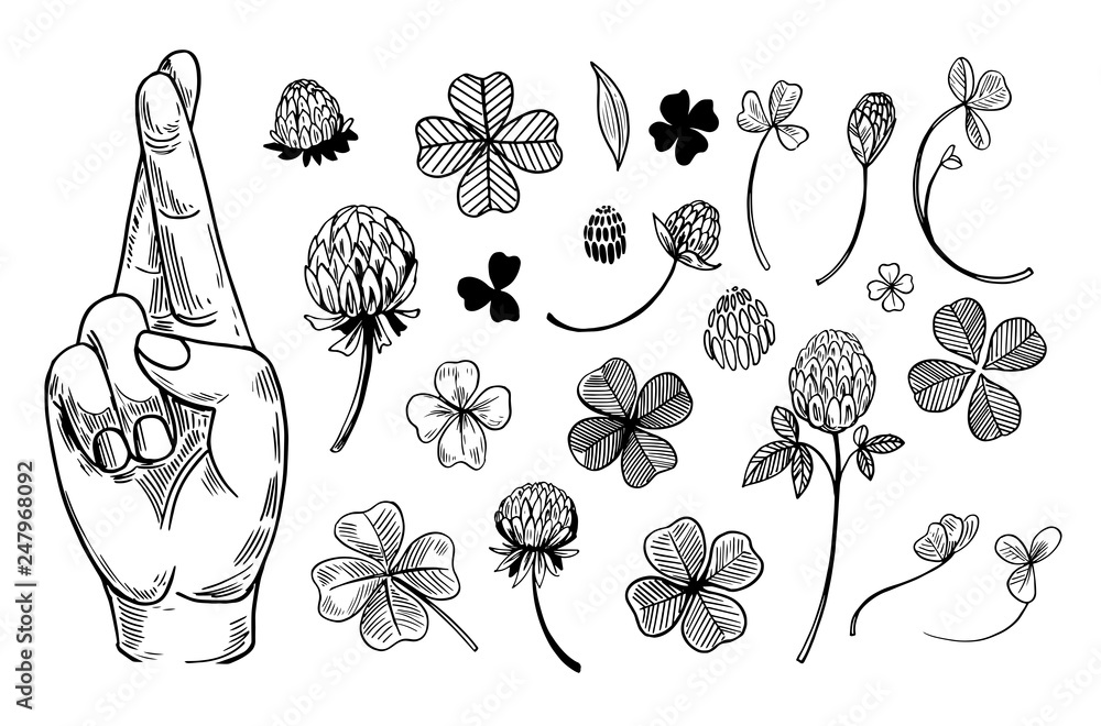 Crossed fingers and a four-leaf clover set. Symbols of good luck ...