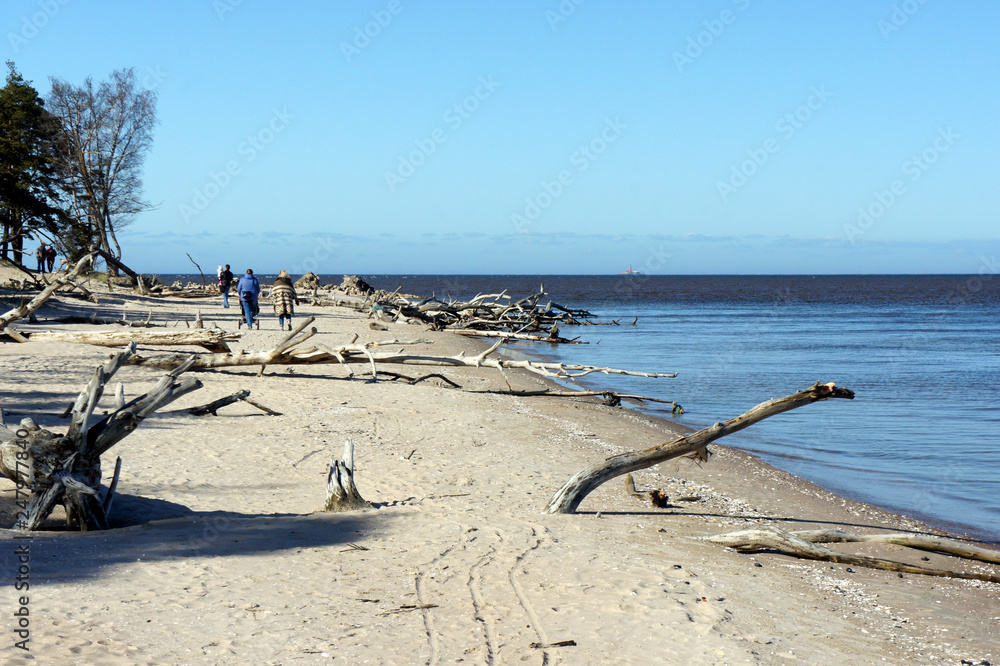 Cape Kolka in the Baltic Sea is constantly destroyed by the sea. Stock ...