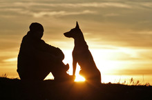 Sunset Dog Love Silhouette Free Stock Photo - Public Domain Pictures