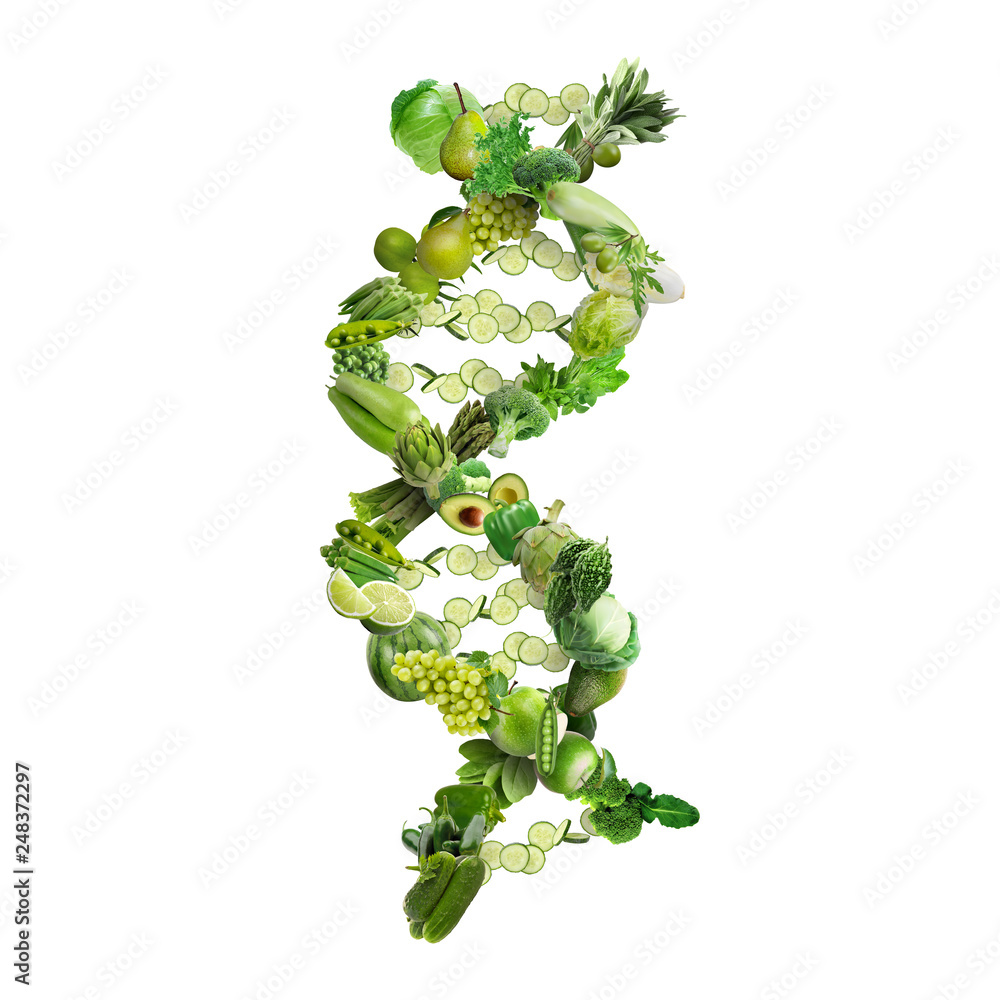 Nutrigenetics concept DNA strand made with healthy fresh green ...