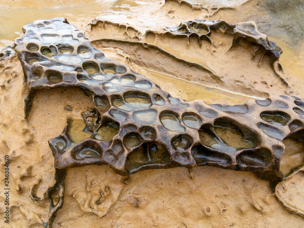 Honeycomb Weathering rock at Yehliu Geopark in Taiwan. Honeycombed ...