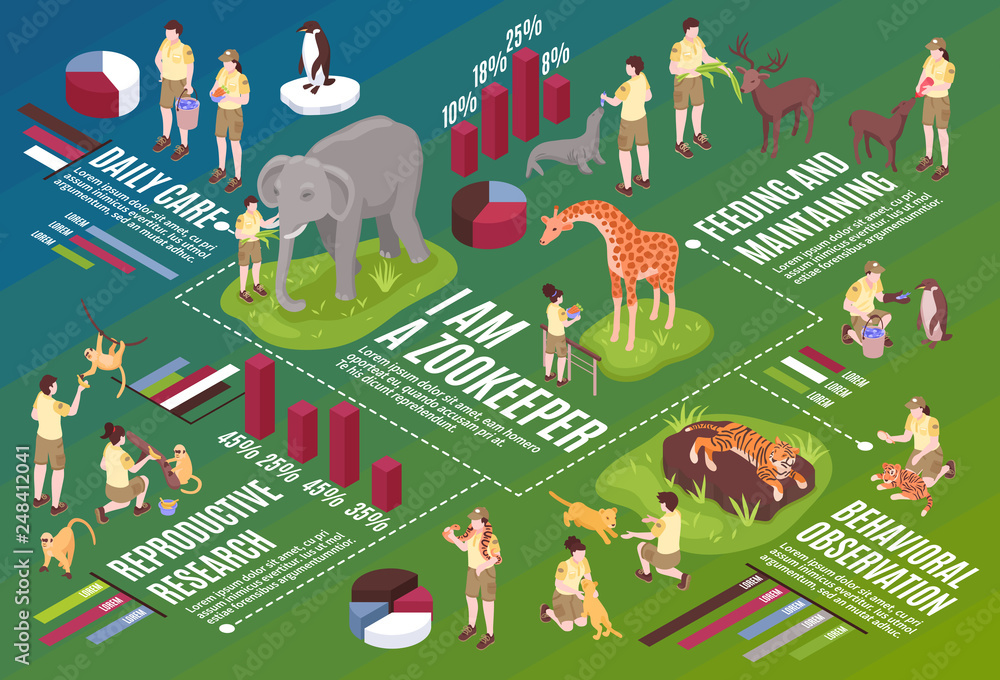 Isometric Zoo Infographic Flowchart Stock Vector | Adobe Stock