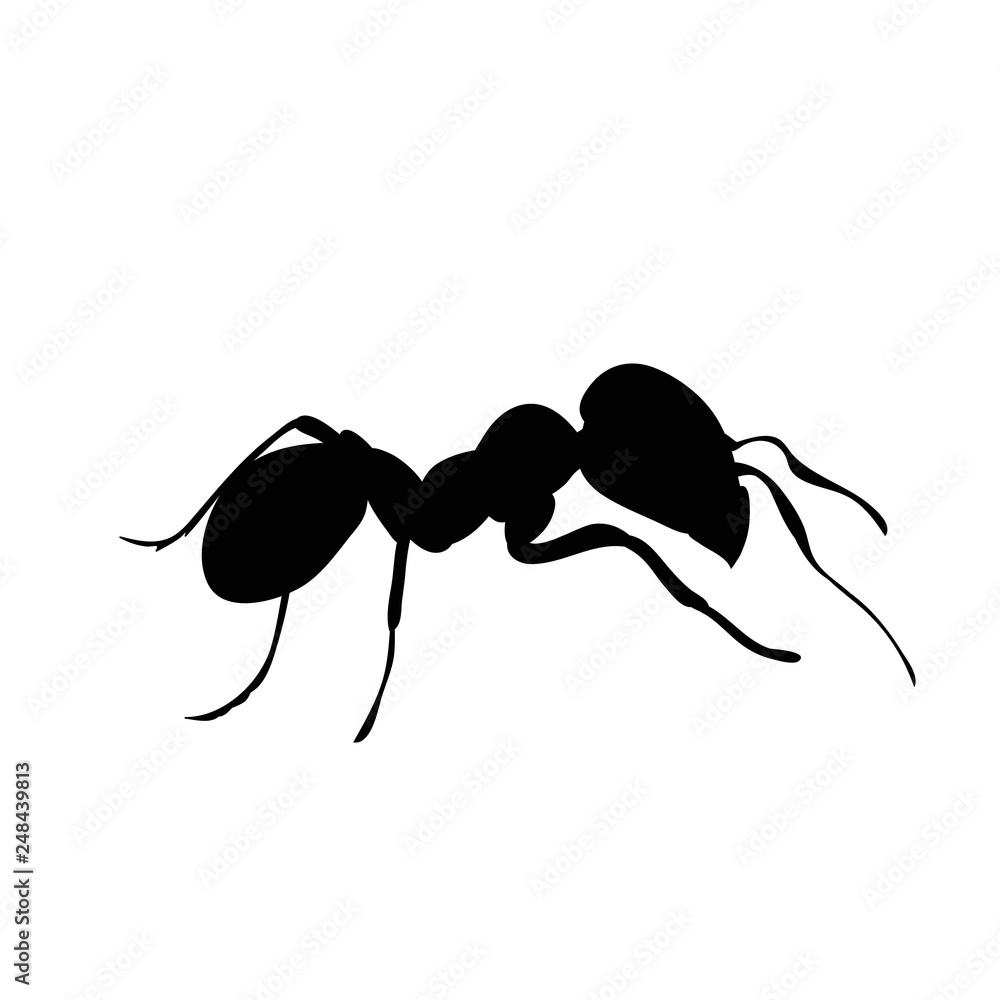 silhouette of an ant crawling, isolated Stock Vector | Adobe Stock