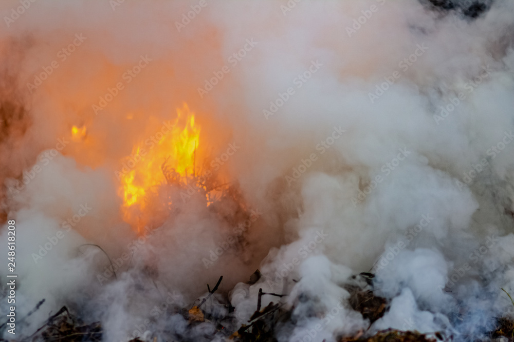 Forest wildfire at night whole area covered by flame and clouds of dark ...