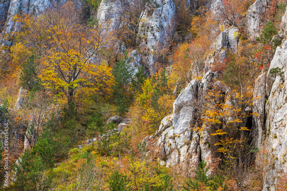 Autumn landscape in limestone mountains, with beautiful foliage, mist ...