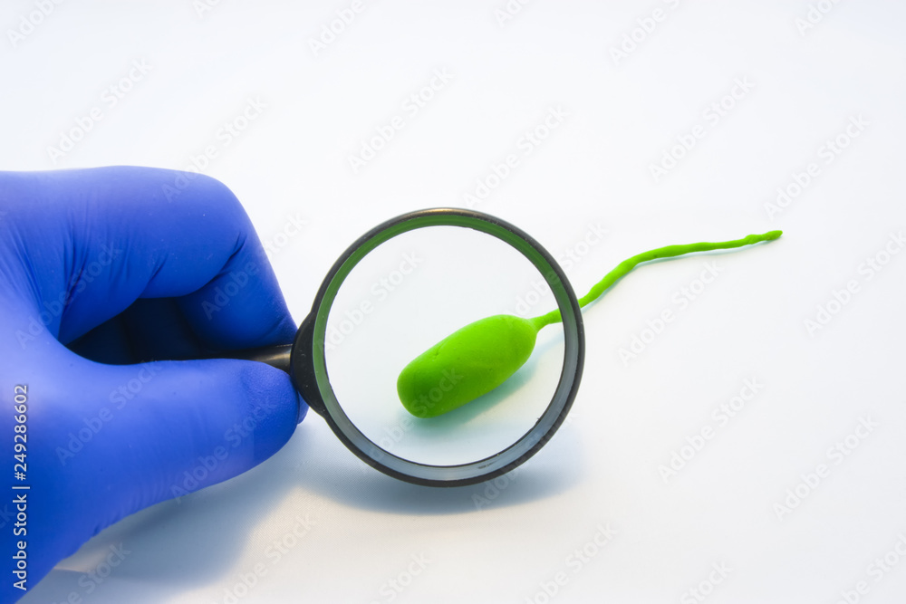 Bacteria microbiology test or analysis concept photo. Doctor ...