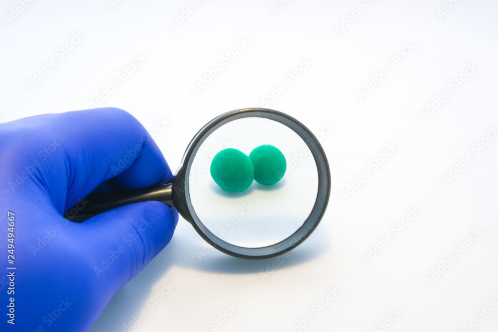 Diplococcus bacteria microbiology test or analysis concept photo like ...