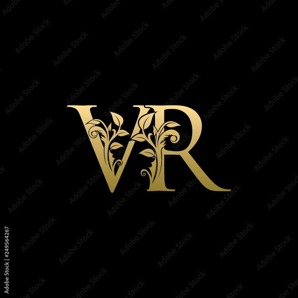 Golden Flower VR Letter Logo Stock Vector | Adobe Stock