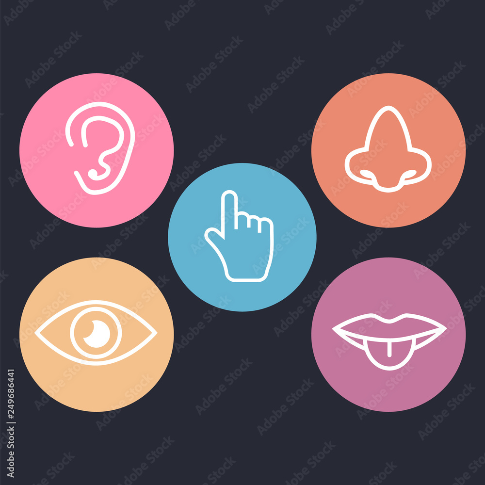 Five senses icons. 5 senses symbols Stock Vector | Adobe Stock