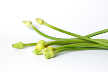Garlic Flower Bud Free Stock Photo - Public Domain Pictures