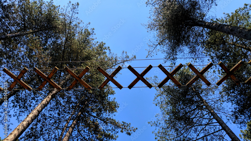 Outdoor tree-top outdoor adventure/activity equipment among the pine ...