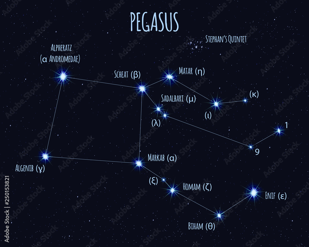Pegasus constellation, vector illustration with the names of basic ...