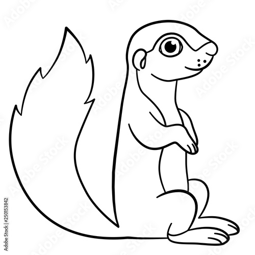 Xerus Page Coloring Pages