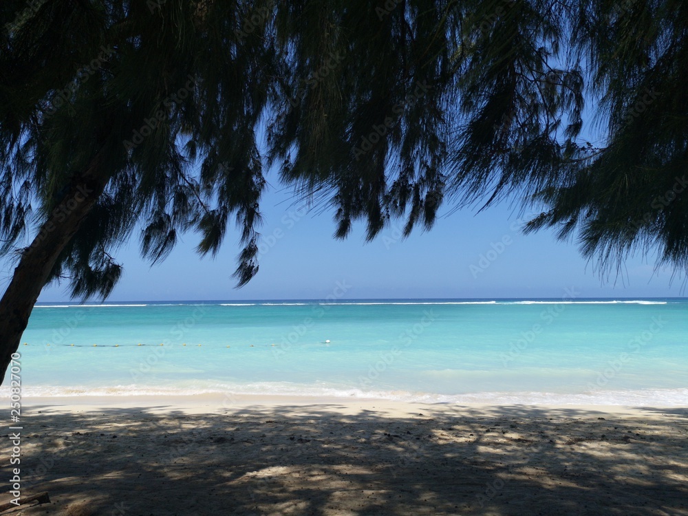 Die schönsten Strände auf Mauritius Stock Photo | Adobe Stock
