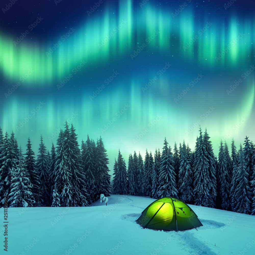 Aurora borealis. Northern lights in winter forest. Sky with polar ...