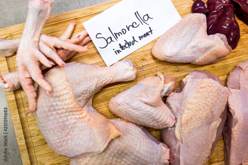 Chicken meat infected by salmonella bacteria Stock Photo | Adobe Stock
