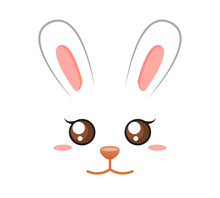 Easter Rabbit Face Pattern Free Stock Photo - Public Domain Pictures