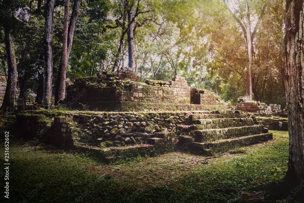 Ruins of residential area of Mayan Ruins - Copan Archaeological Site ...
