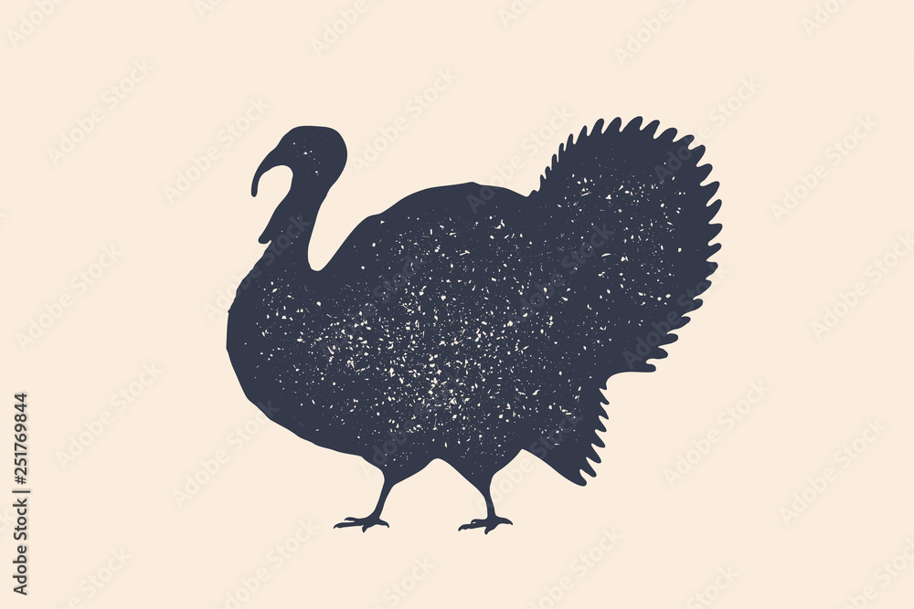 Turkey, bird. Concept design of farm animals Stock Vector | Adobe Stock