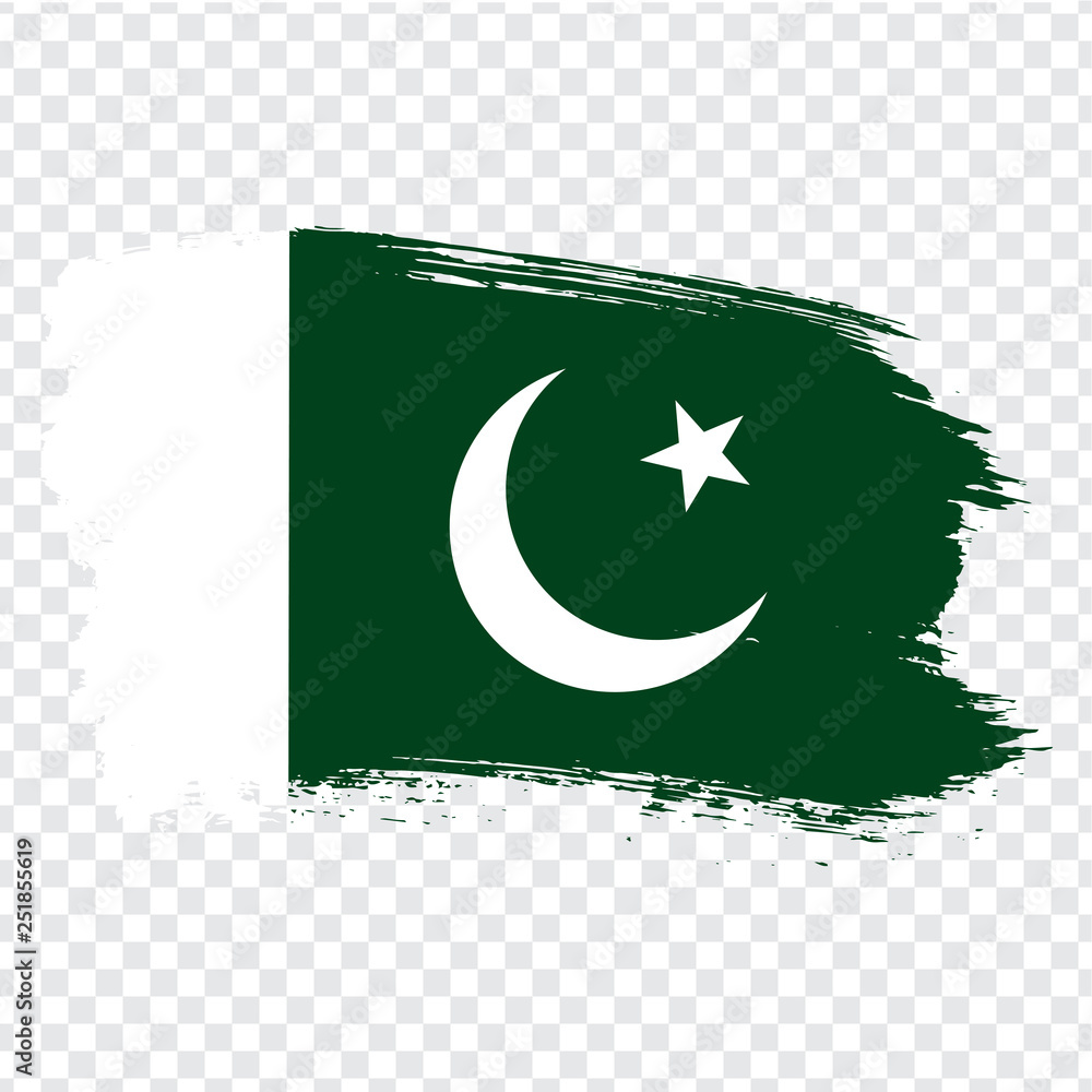 Flag of Pakistan from brush strokes. Flag Pakistan on transparent ...