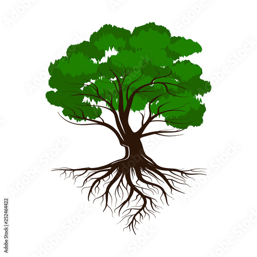 Oak a green life tree with roots and leaves. Vector illustration - Buy ... Oak a green life tree with roots and leaves. Vector illustration - Buy ...