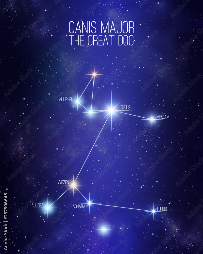 Canis Major the great dog constellation on a starry space background ...