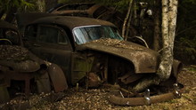 Tree Growing Out Of Abandoned Car Free Stock Photo - Public Domain Pictures