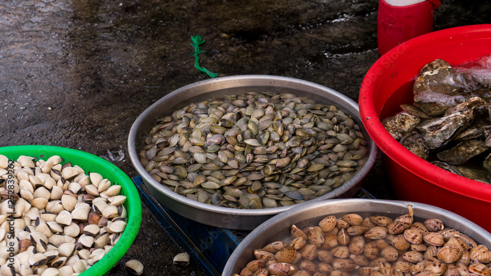 Assortament of fresh seafood. Different types of beautiful shells in ...