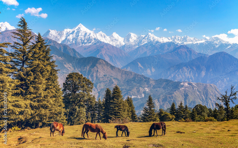 Scenic landscape view with majestic Himalayan Panchchuli mountain range at Munsiyari Uttarakhand ...