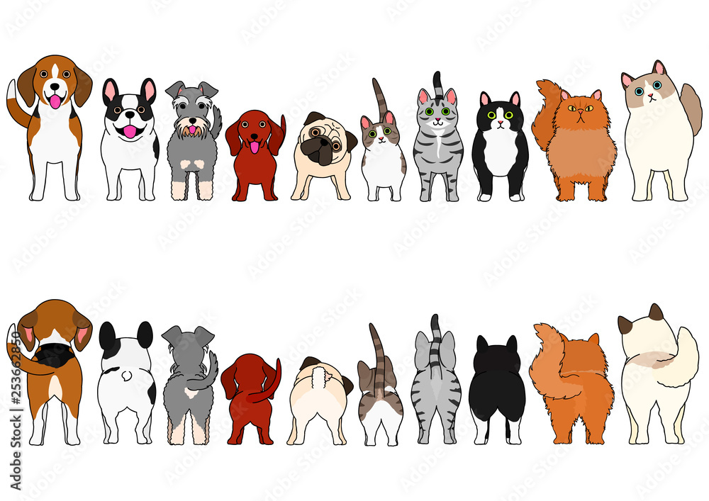 cats and small dogs border set Stock Vector | Adobe Stock