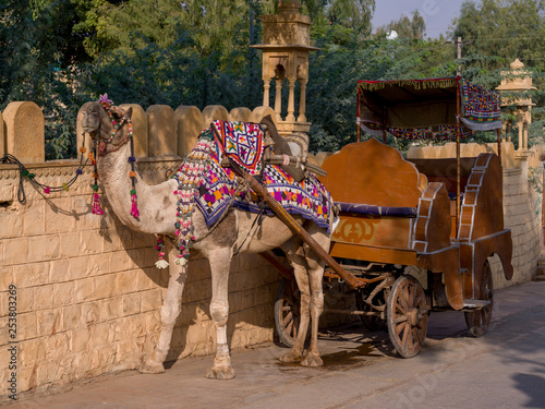 Camel drawn carriage at roadside, Gadsisar Lake, Jaisalmer, Rajasthan ...