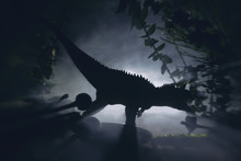 Dinosaur Dinosaur At Night Free Stock Photo - Public Domain Pictures