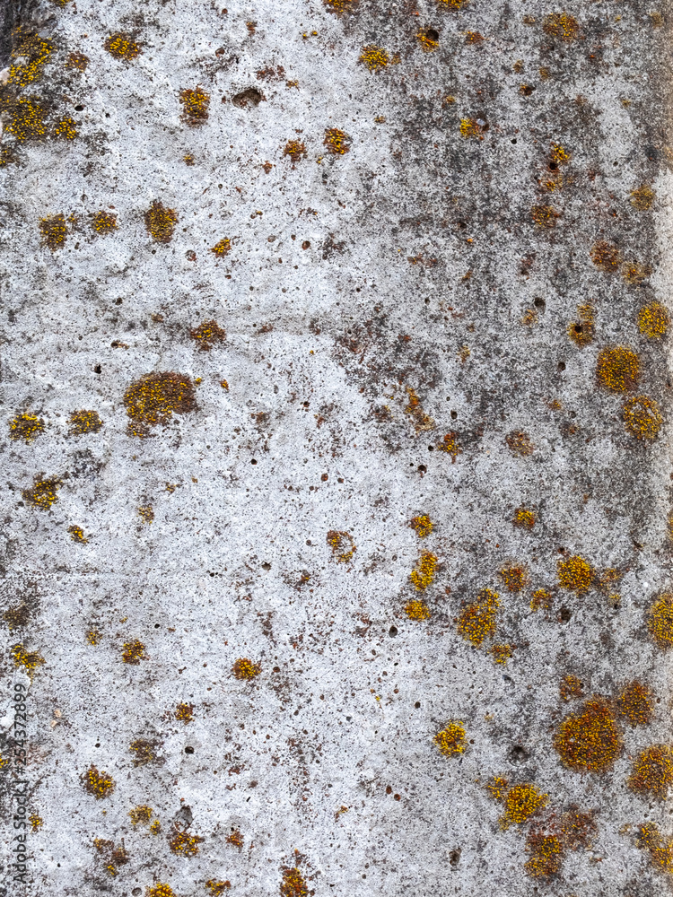 Texture of old reinforced concrete surface with rust and moss. Armored ...