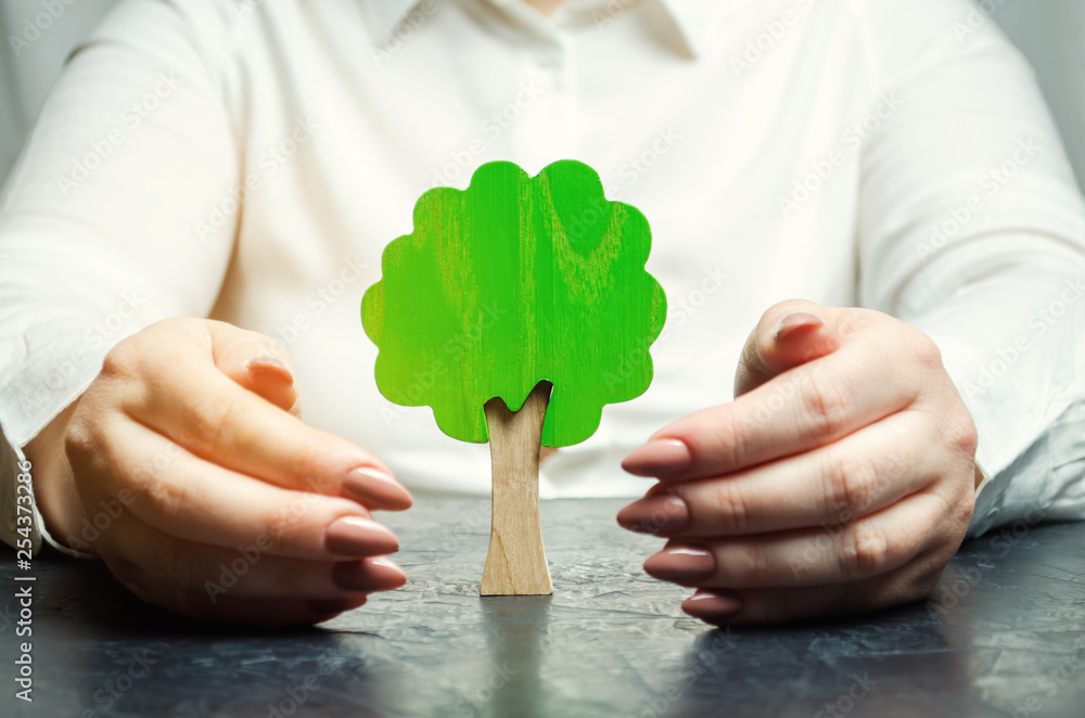 Woman protects a miniature green tree. Saving the environment and ...