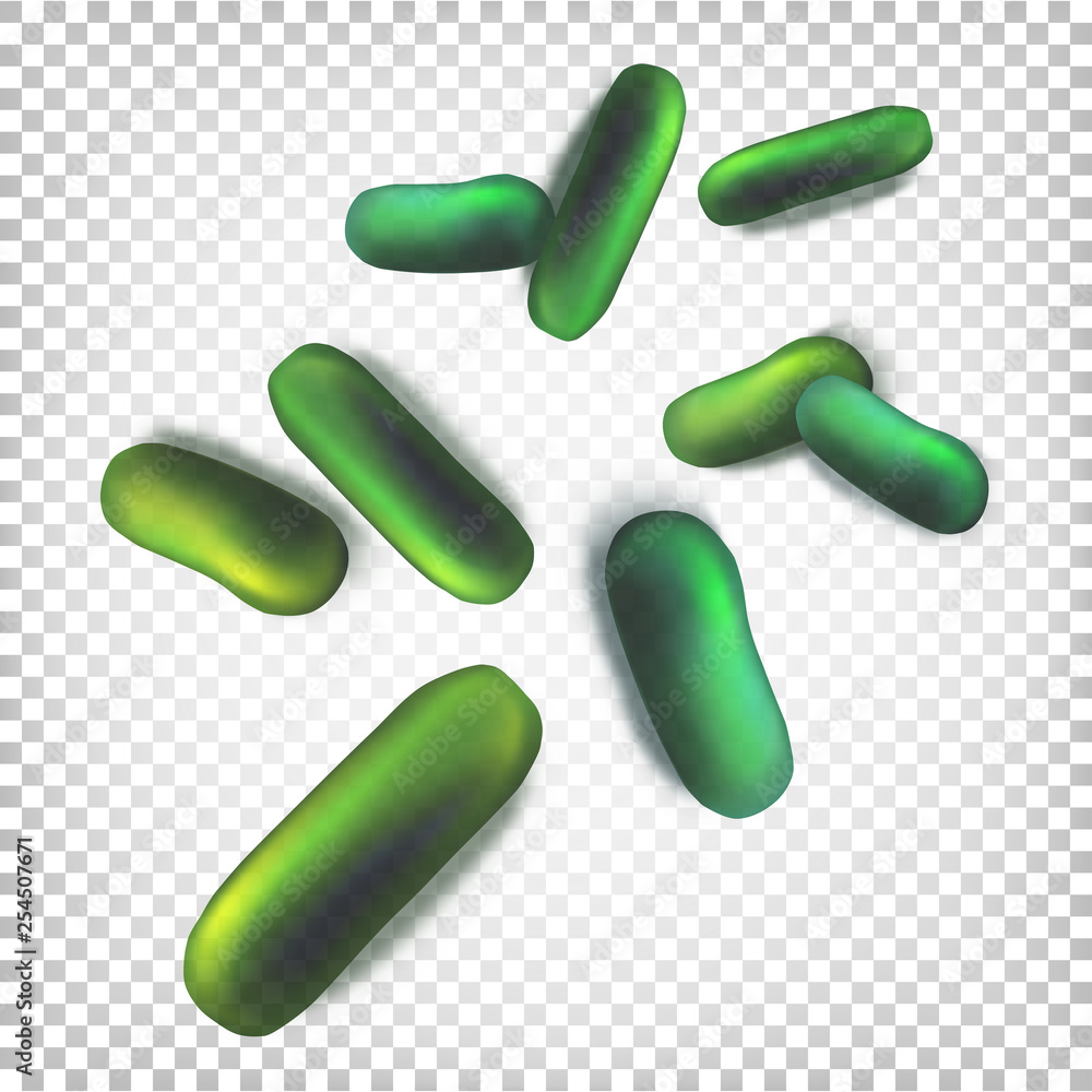 Green rod-shaped bacteria. Vector illustration on white transparent ...