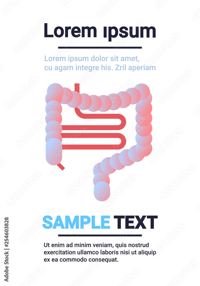 human digestive system intestine internal organ symbol gut health ...