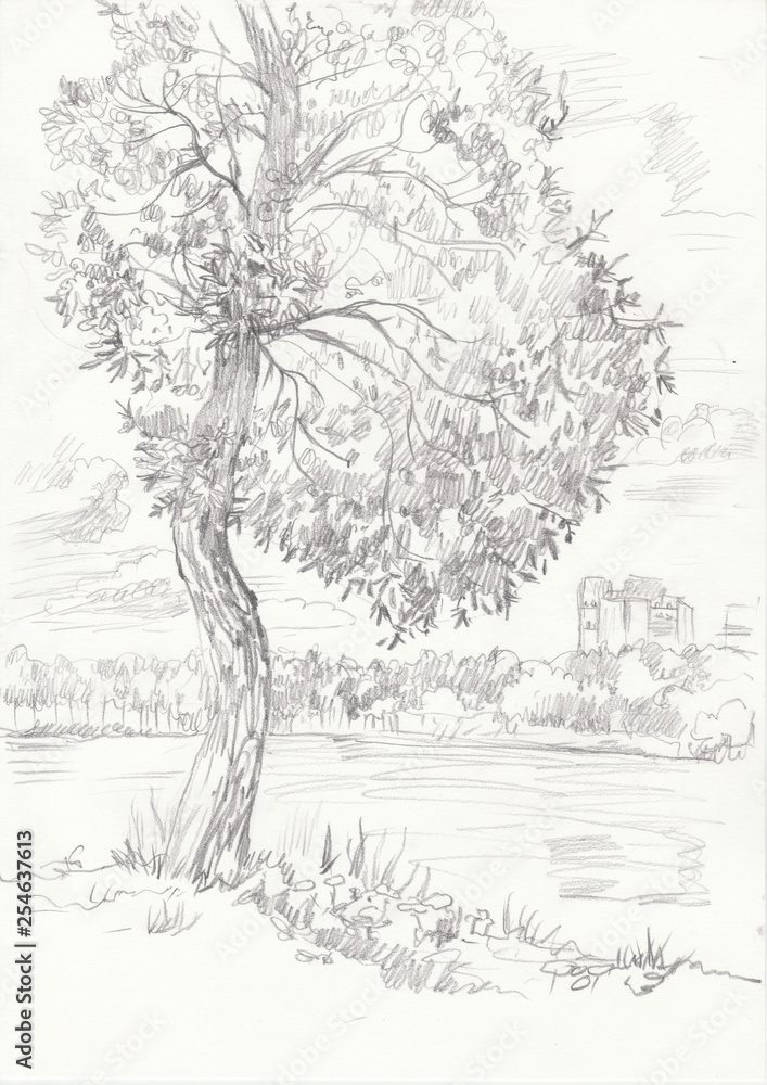 Landscape with a tree and a lake drawn with pencils. Graphic ...