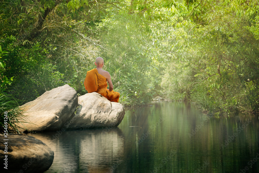 Buddha monk practice meditation in forest Stock Photo | Adobe Stock