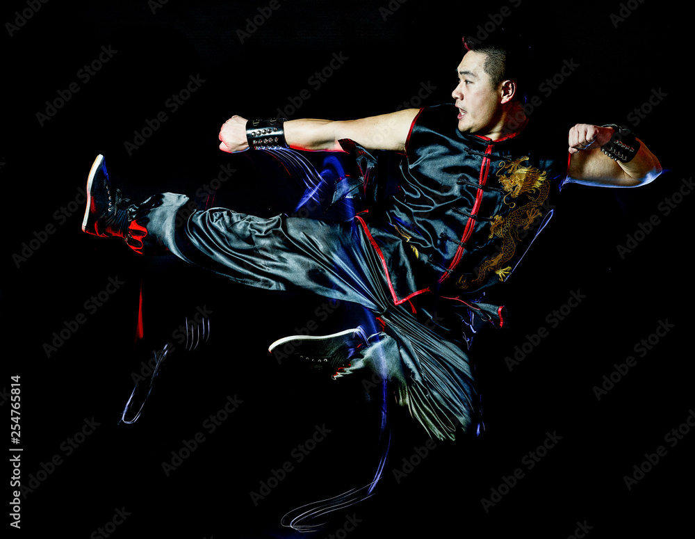whushu chinese boxing kung fu Hung Gar fighter isolated man isolated on ...