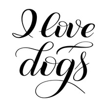 Dog Quotation Fancy Script Free Stock Photo - Public Domain Pictures