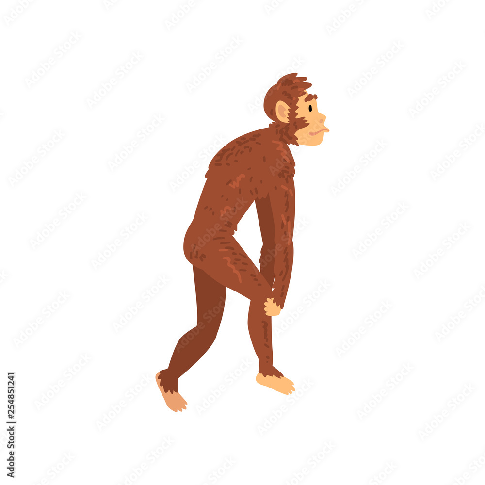 Australopithecus, Biology Human Evolution Stage, Evolutionary Process ...