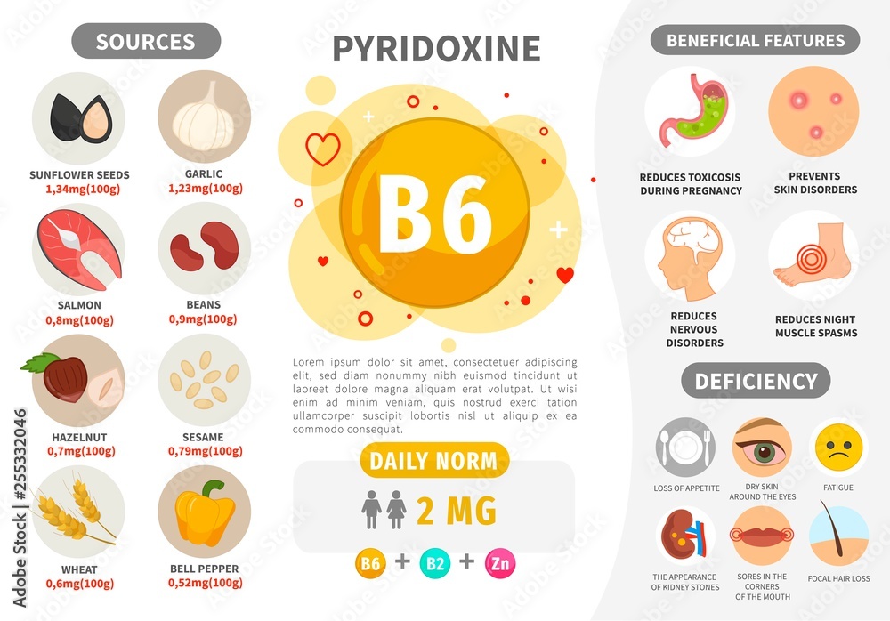 Infographics Vitamin B6. Products containing vitamin. Daily norm ...