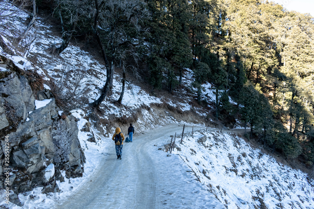 Shivalik Range of the Himalayas, Narkanda Valley, Himachal Pradesh- a ...