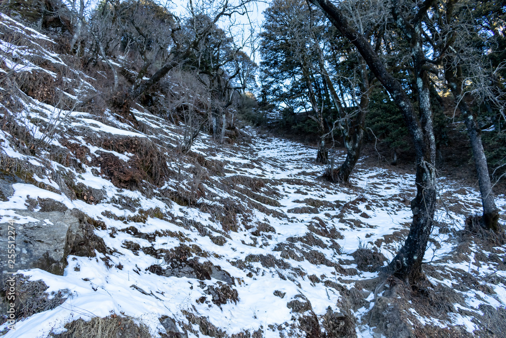 Shivalik Range of the Himalayas, Narkanda Valley, Himachal Pradesh- a ...