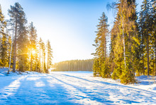 Sunny Winter Morning Free Stock Photo - Public Domain Pictures