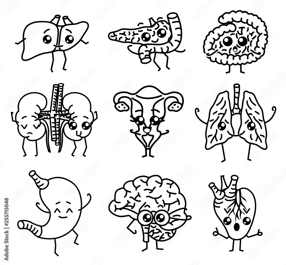 Cute organs. Happy human, Set of smiling characters. Vector pins ...