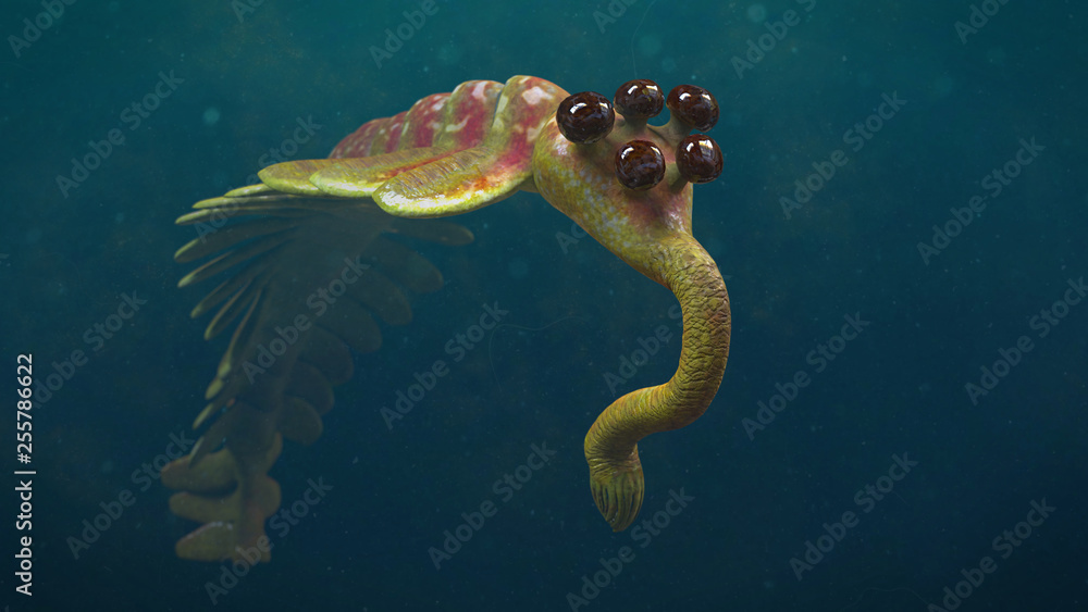 swimming Opabinia regalis, prehistoric aquatic animal from the Cambrian ...