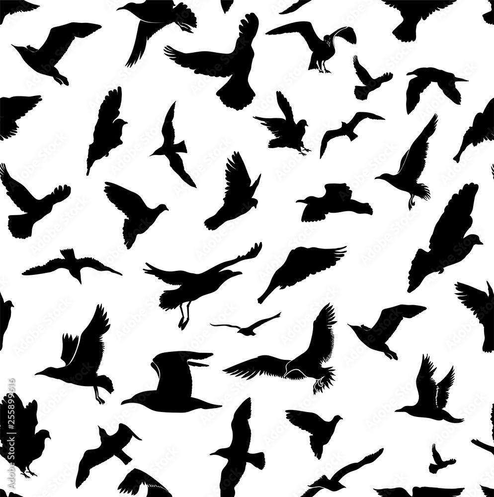 Seamless Flying Birds Silhouettes. Animals Detailed Pattern Black On ...