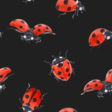 Ladybugs # 3 Free Stock Photo - Public Domain Pictures