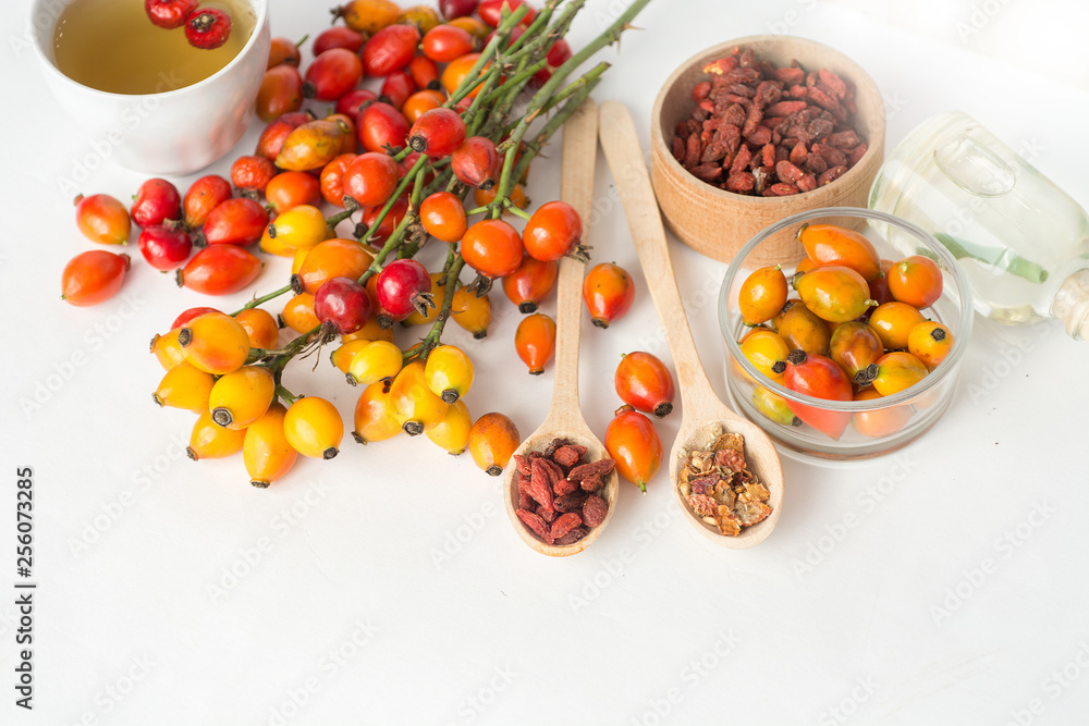 Medicinal plants and herbs composition: Dog rose, bunch branch Rosehips ...